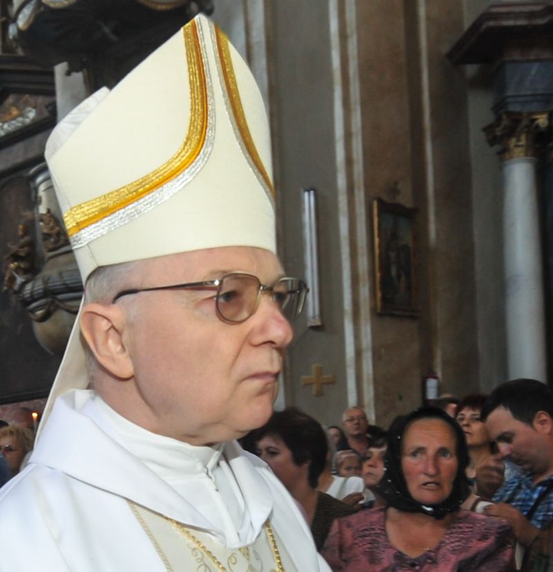 Jubileul de 25 de ani de la consacrarea E.S. Martin Roos, episcop ...